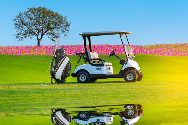 Everything You Need To Know About Choosing Golf Cars for Your Course ...